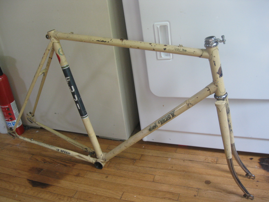 Fuji Crazy: Fuji Frame Swap Out