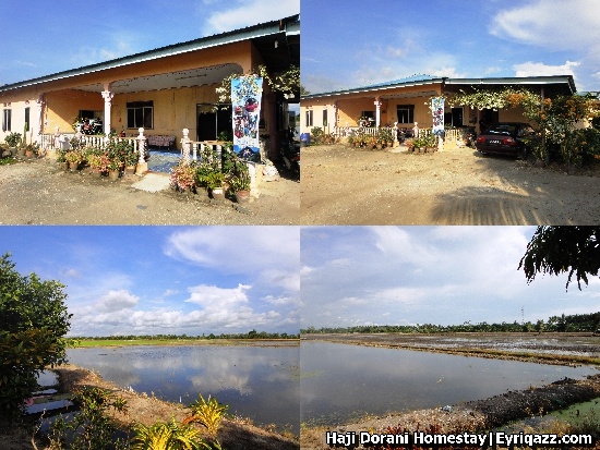 Pengalaman Di Kampung Sungai Haji Dorani Homestay|Great Teacher Onizuka