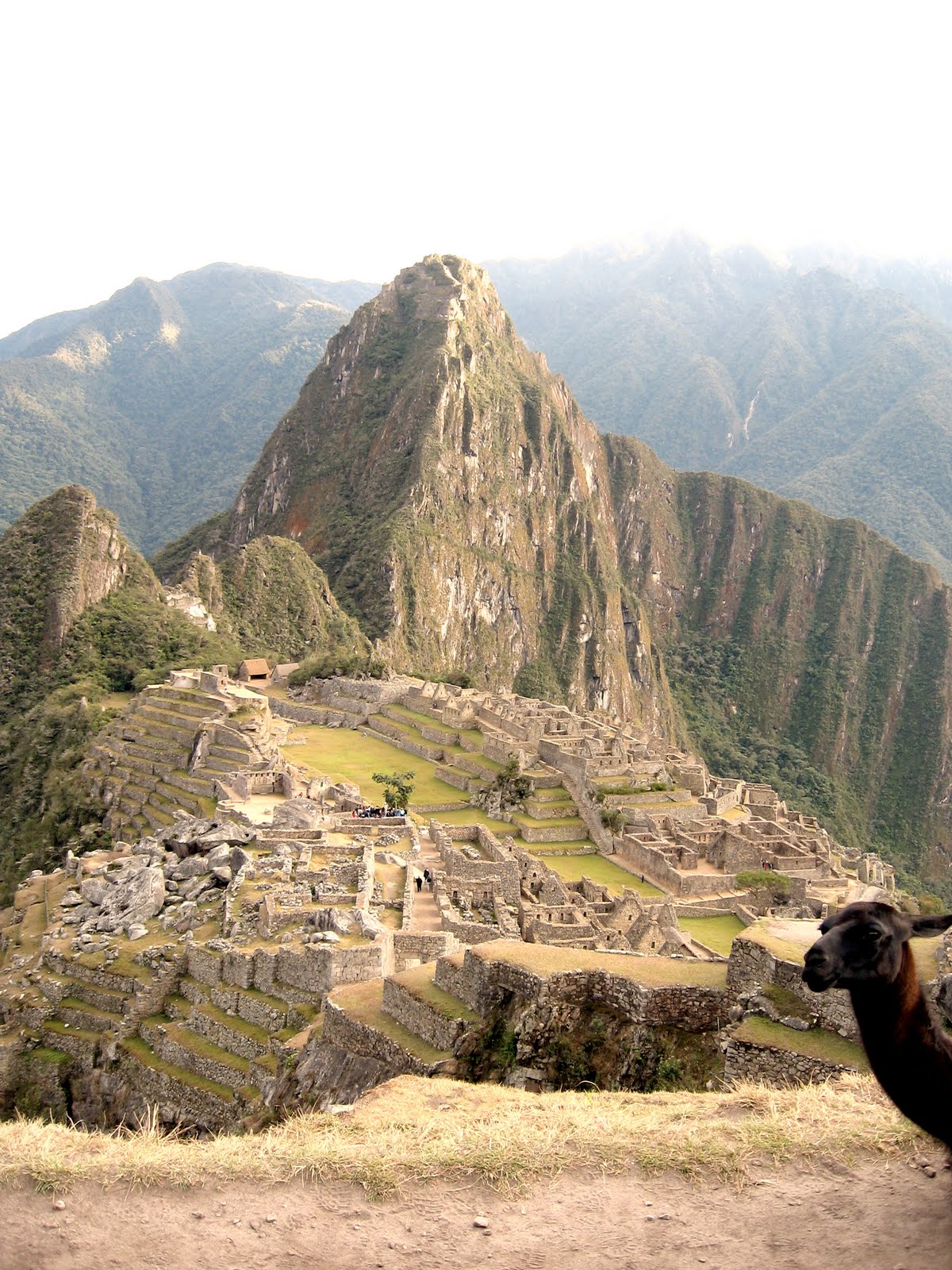 Programa Kushis Winaykan: El Peru