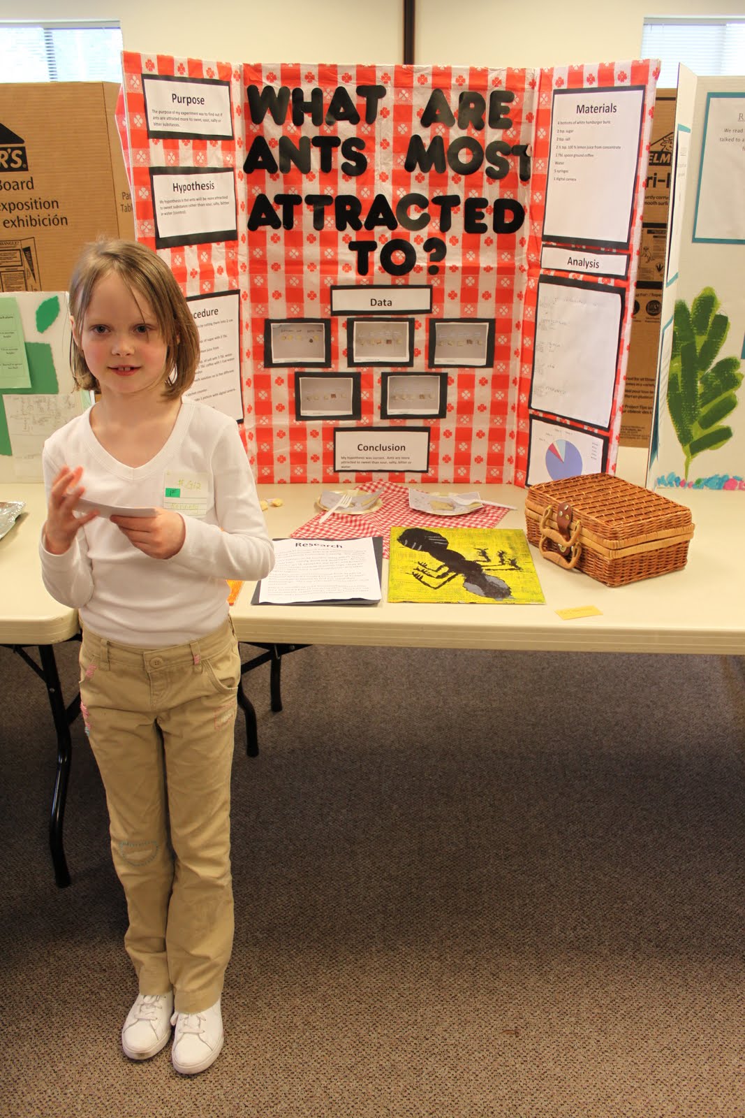 Lovin' Life: Science Fair Projects