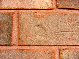 St. Louis Brick: Bricks with paw prints and leaves