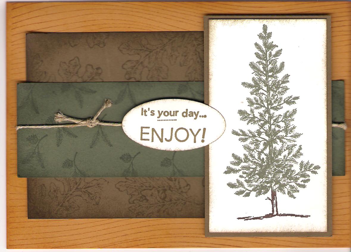 Narelle Hodges-Independent Stampin' Up!® Demonstrator: Cards for Men ...