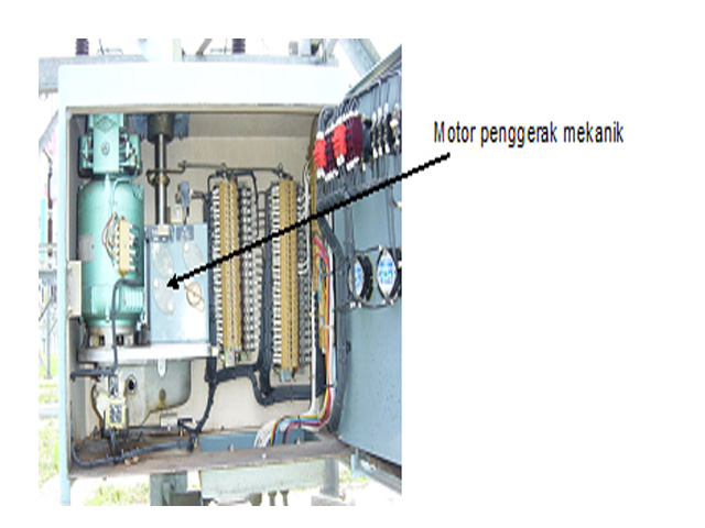 Ariya Theonata: PMS 3