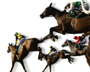 Horse Racing live broadcasts: South Africa Horse Racing