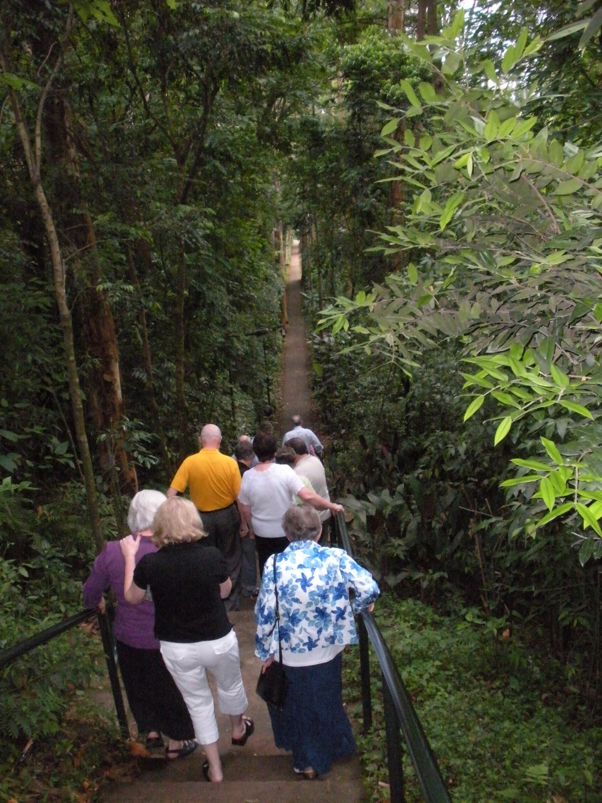 David and Carlie's Brazilian Adventures: Thanksgiving in Brazil