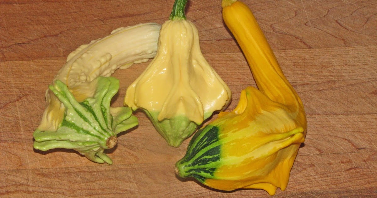 MAD MEAT GENIUS: MYSTERY SQUASH