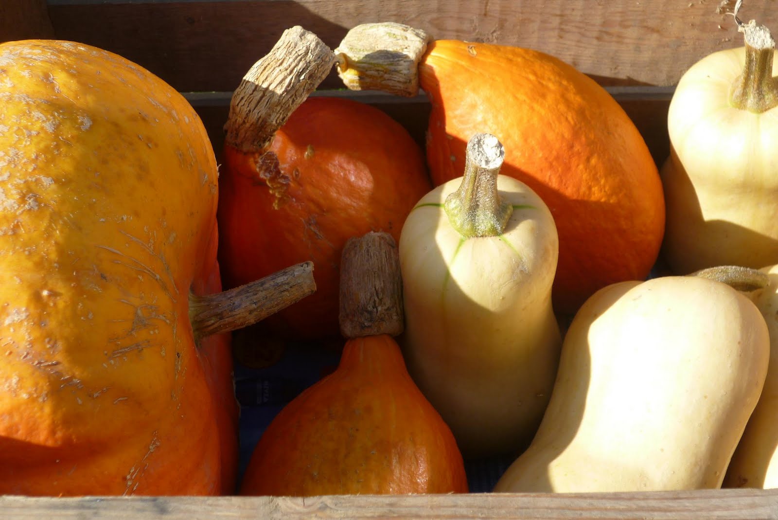 Koekje van eigen deeg: Pompoensoep