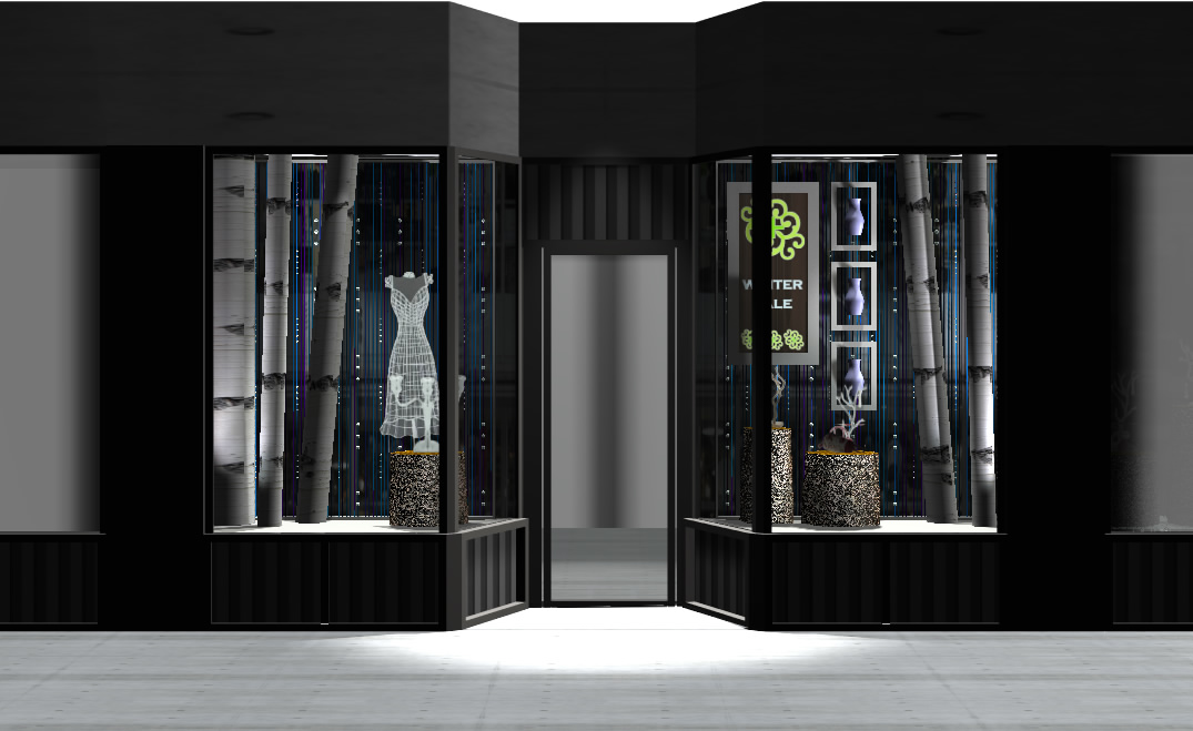 Creative CoLab+: Effective Window Displays