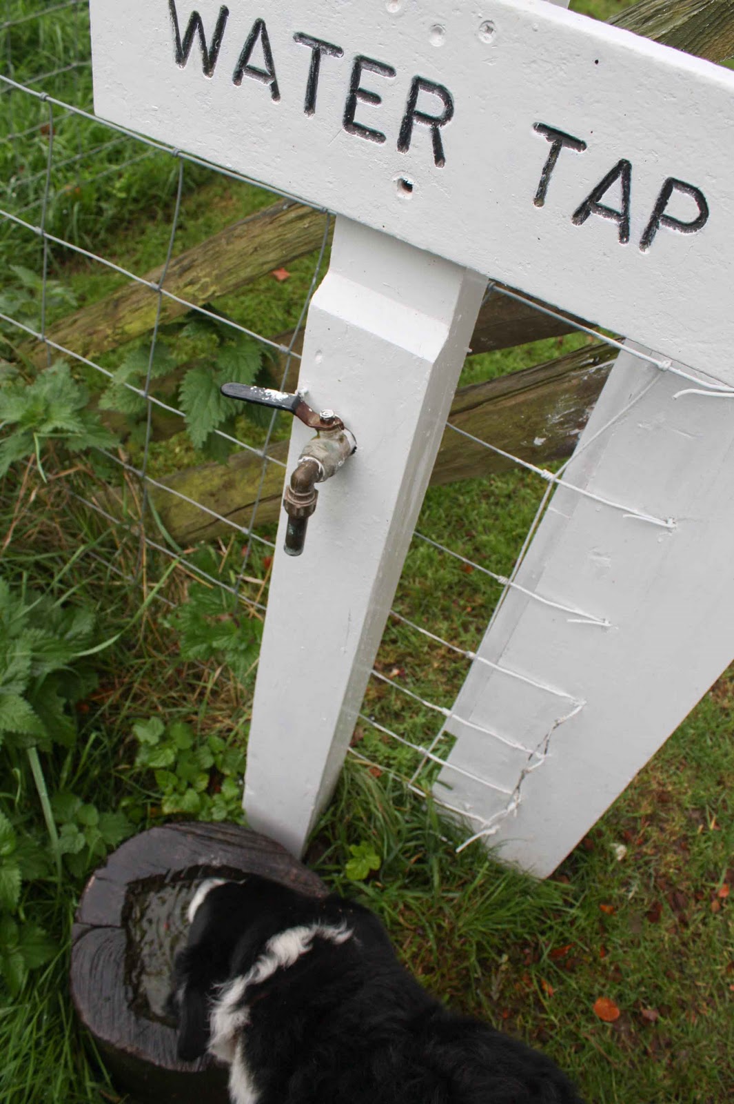 Paws Under the Table: Grim's Ditch - Nuffield & The Crown Pub.