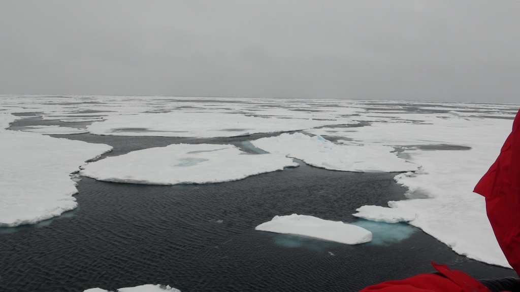81 Degrees North and the Land of the Midnight Sun: August 15th - Sail ...