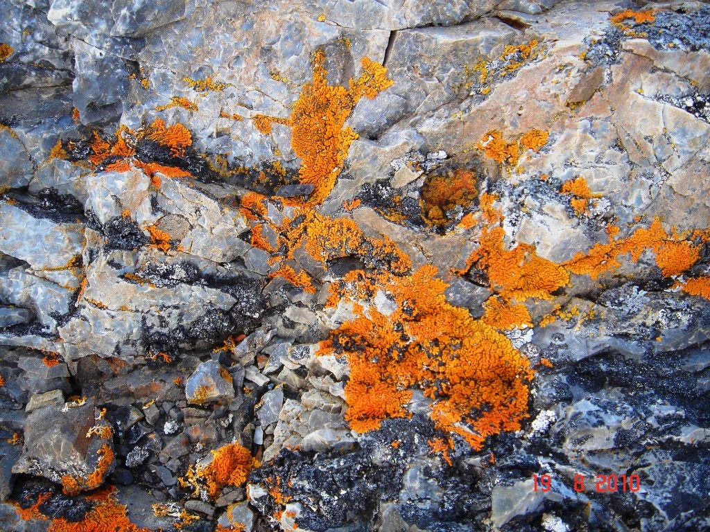 81 Degrees North and the Land of the Midnight Sun: August 19th ...