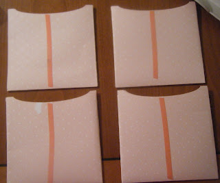 Cute and Some: A PRETTY LITTLE CD/DVD WALLET