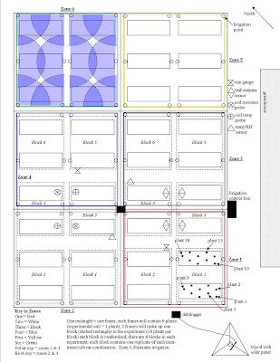 My Research: Map of shade structure