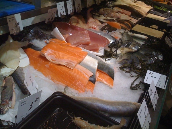 Bah, Biologisch!: Concept - Marqt Door Rimko de Wijs