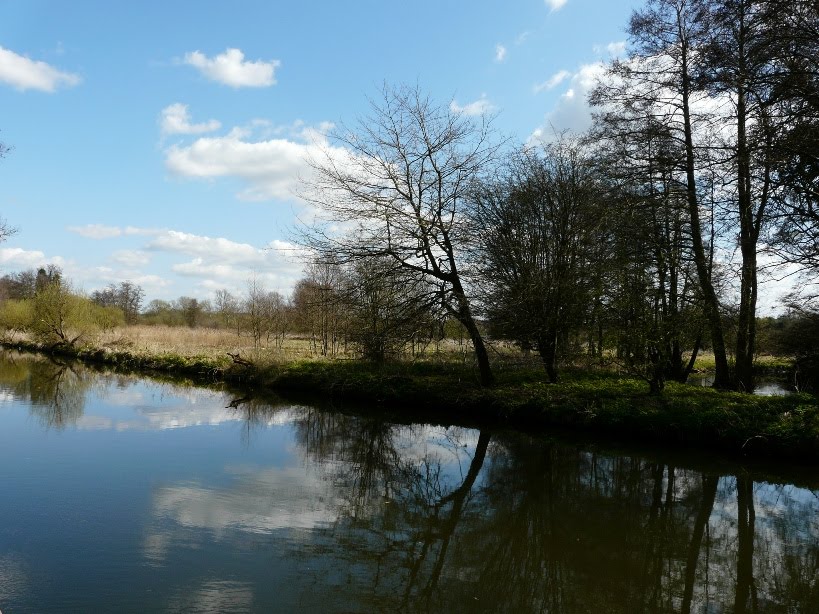 Cindy's Snaps: This afternoon, along the River Little Ouse, Brandon to ...
