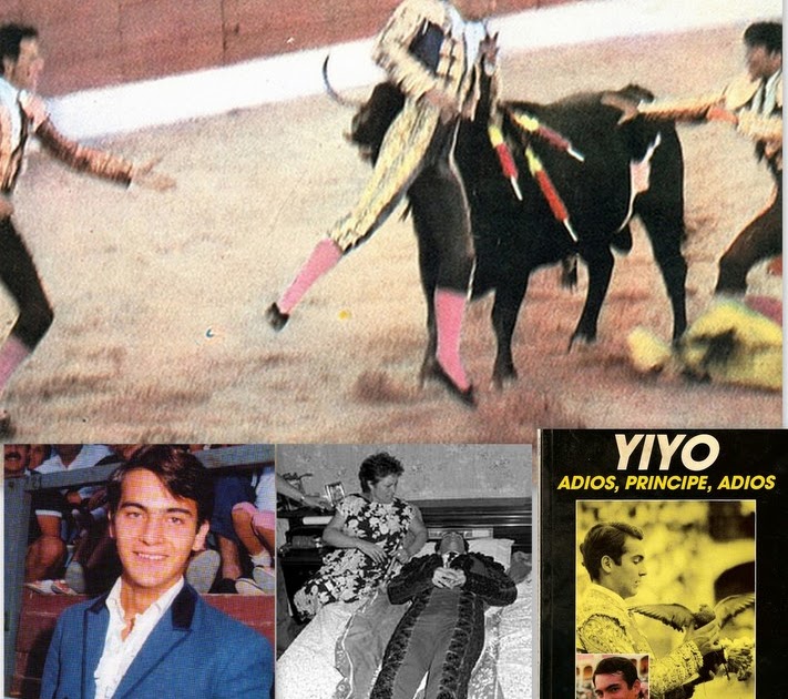 LARGA CORDOBESA: LA CABEZA DEL TORO QUE MATO AL “YIYO” EN 1985, FUE ...