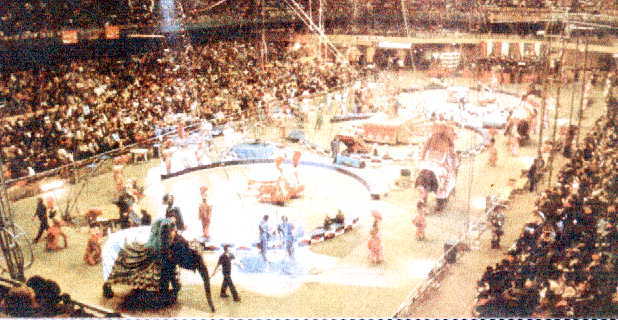 CIRCO NEWS: Fotos Interessantes