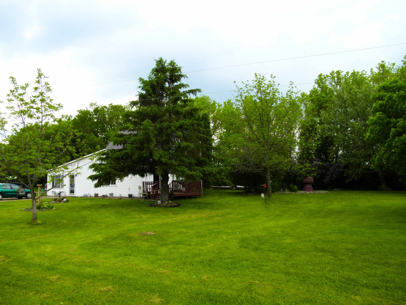 Happy at Home Place: I miss my green yard