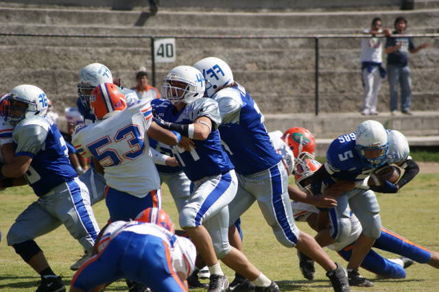 Ecos de los Emparrillados: GATORS CAMPEÓN DEL GRUPO "B" AL VENCER A ...
