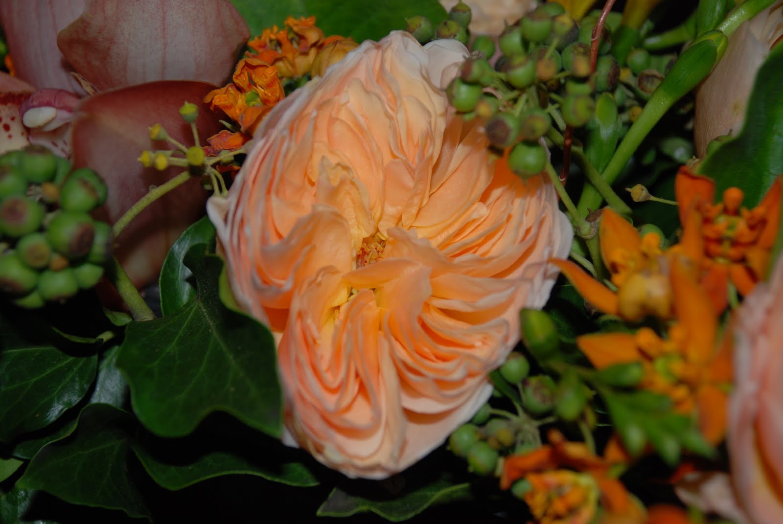 blade new york: Juliette Roses