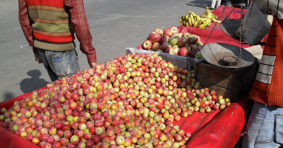 CHINAR SHADE : TREIL , THE LATE AUTUMN FRUIT OF KASHMIR