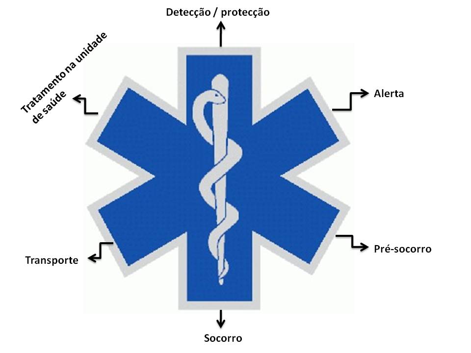 Estude Certo: Projeto livro APH