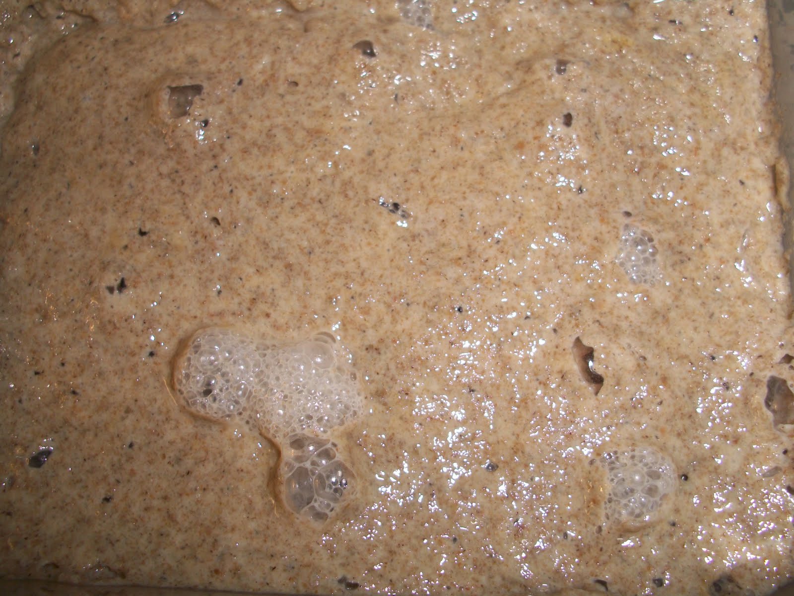 Kai nori valgyt: Duonos raugas