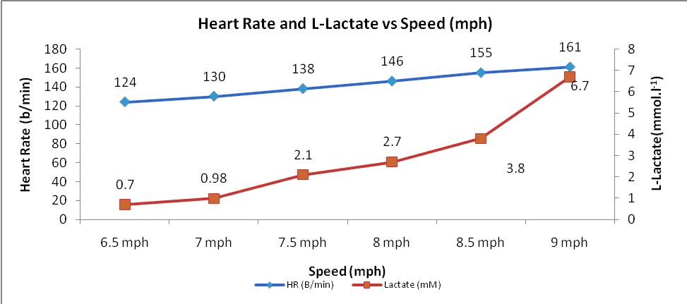 Slow Down You Move Too Fast