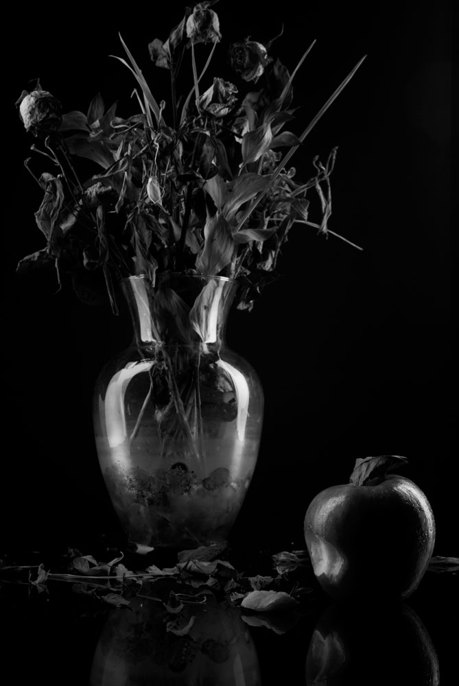 Photos and More by LyndaRayDesigns.com: The Shiny Object Project