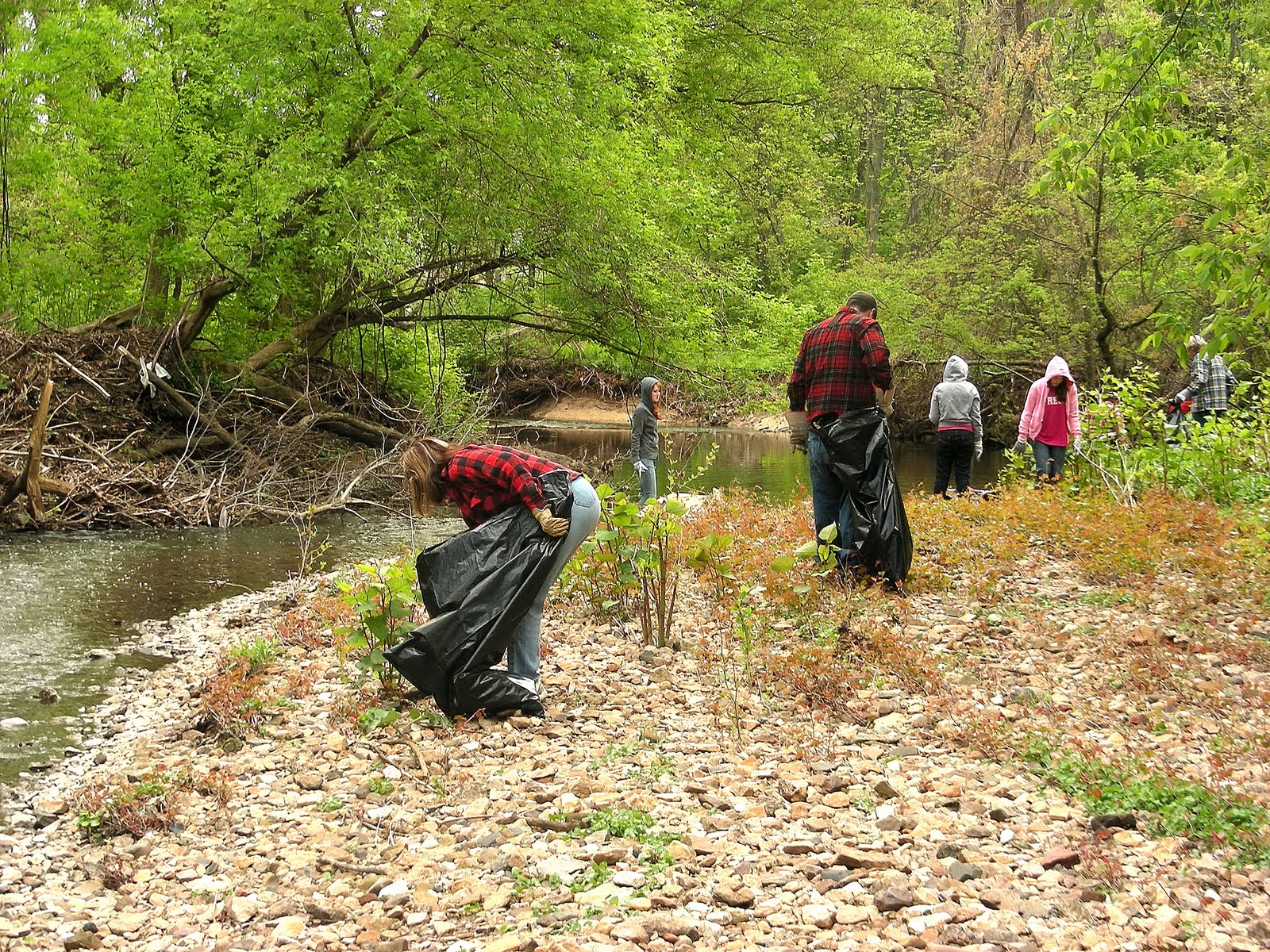 It Just Comes Naturally: Creek Cleanup