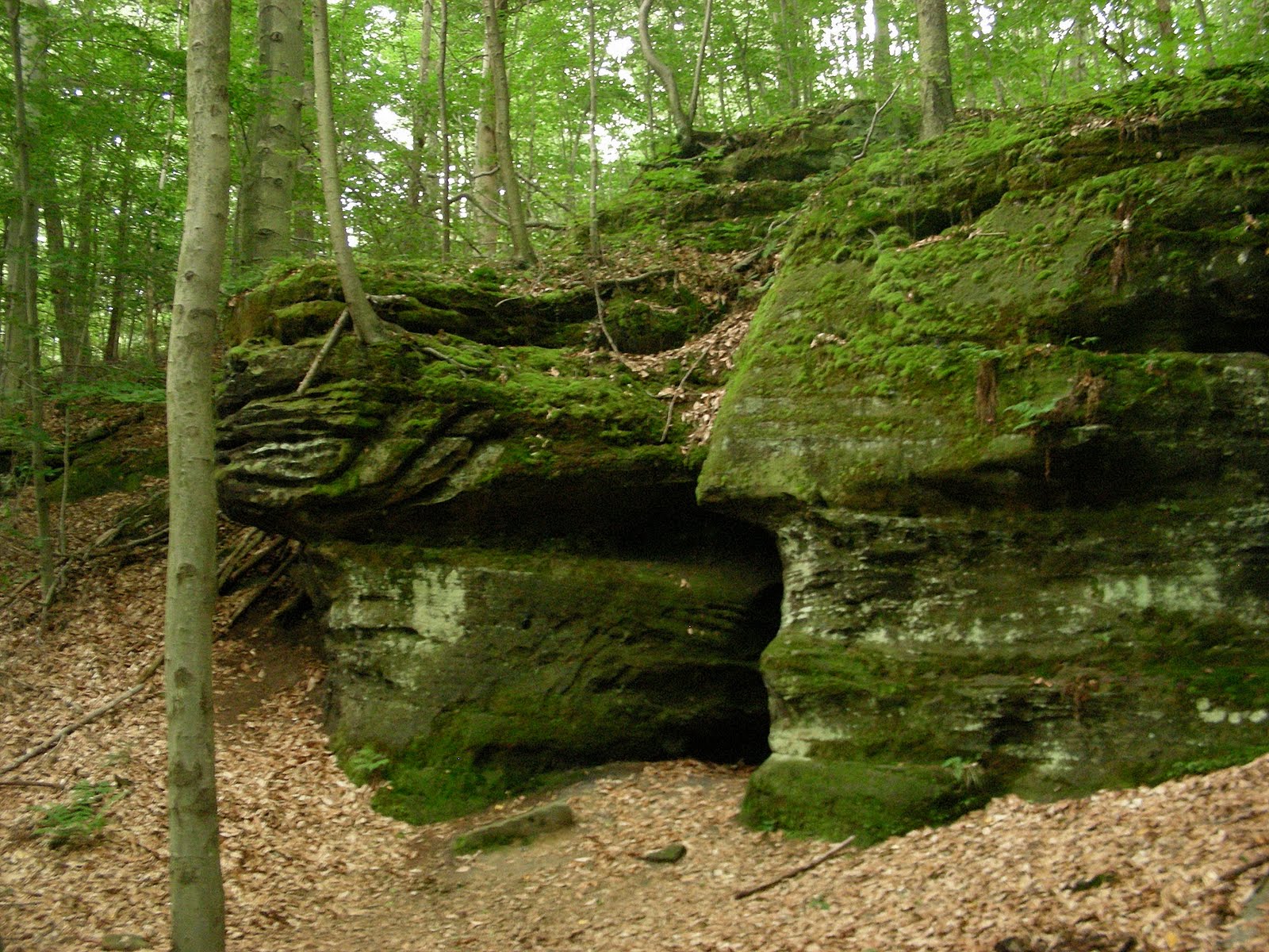 It Just Comes Naturally: Ohio Reunion Weekend