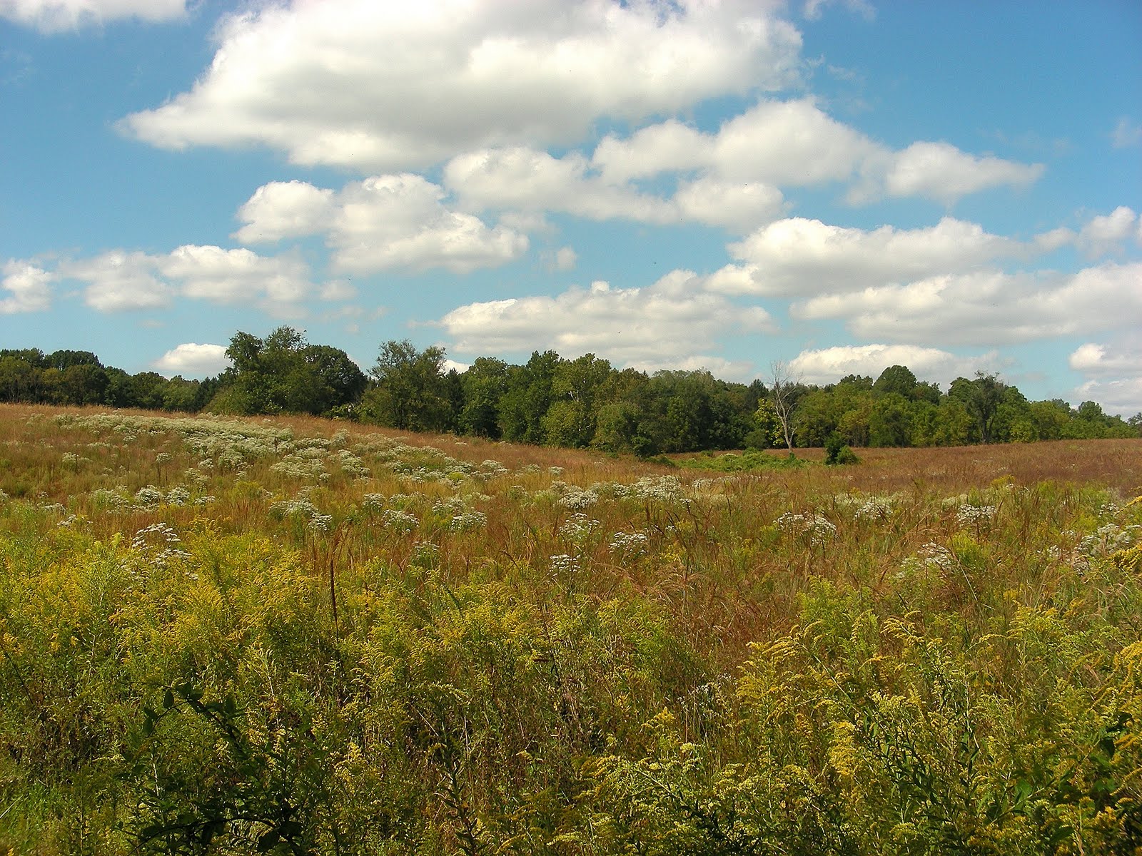 It Just Comes Naturally: Glorious Early Fall Field Trip