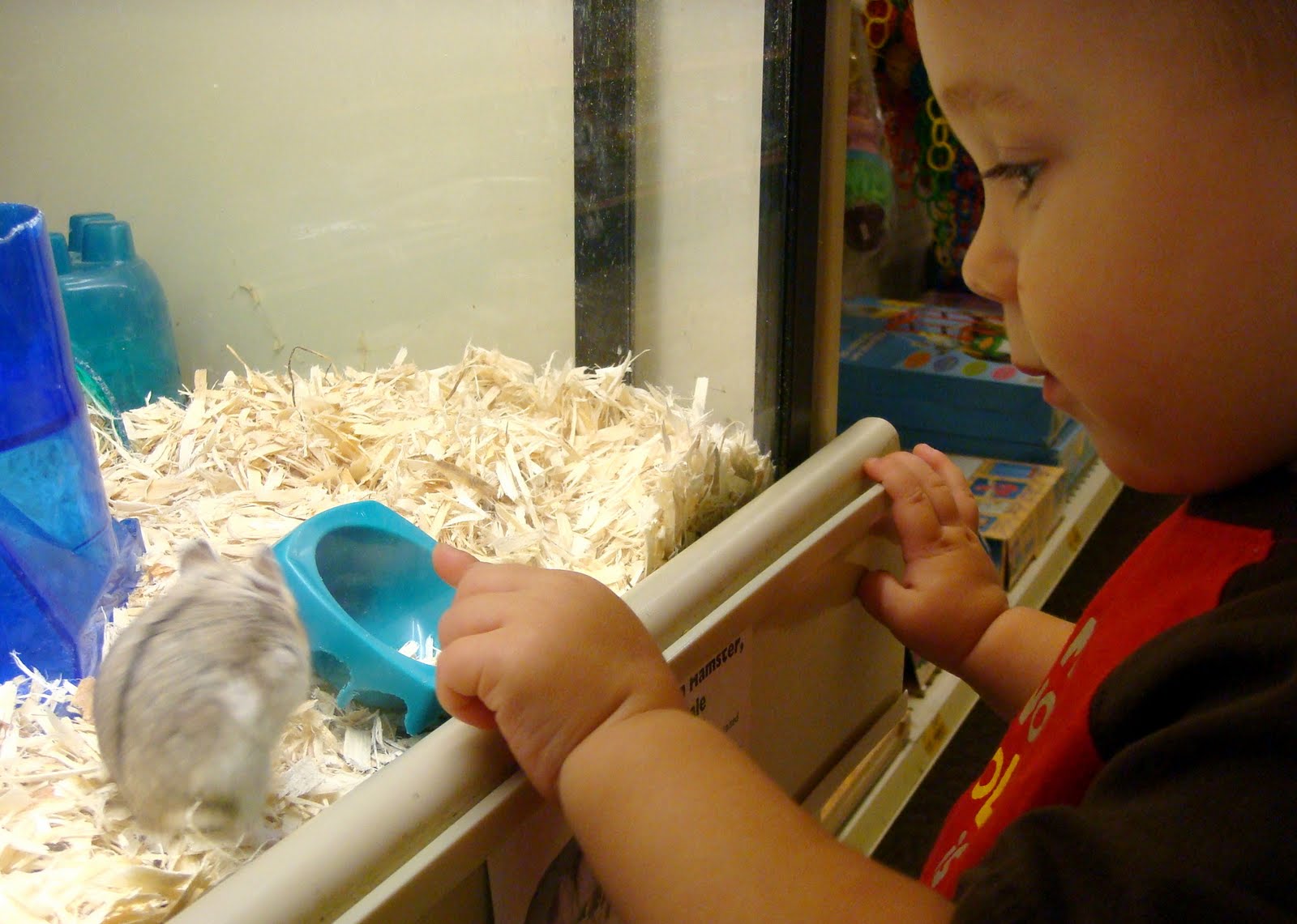 Petsmart: Valdosta's Zoo - The Journey of Parenthood...