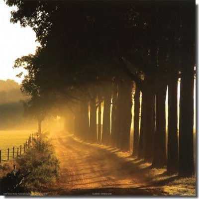 Literally In The Moment: Gloaming ~ Quintilla Sunset Poem