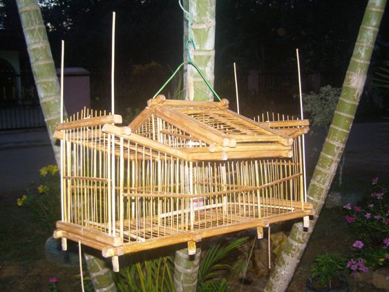 greenoutdoor: Jebak Burung