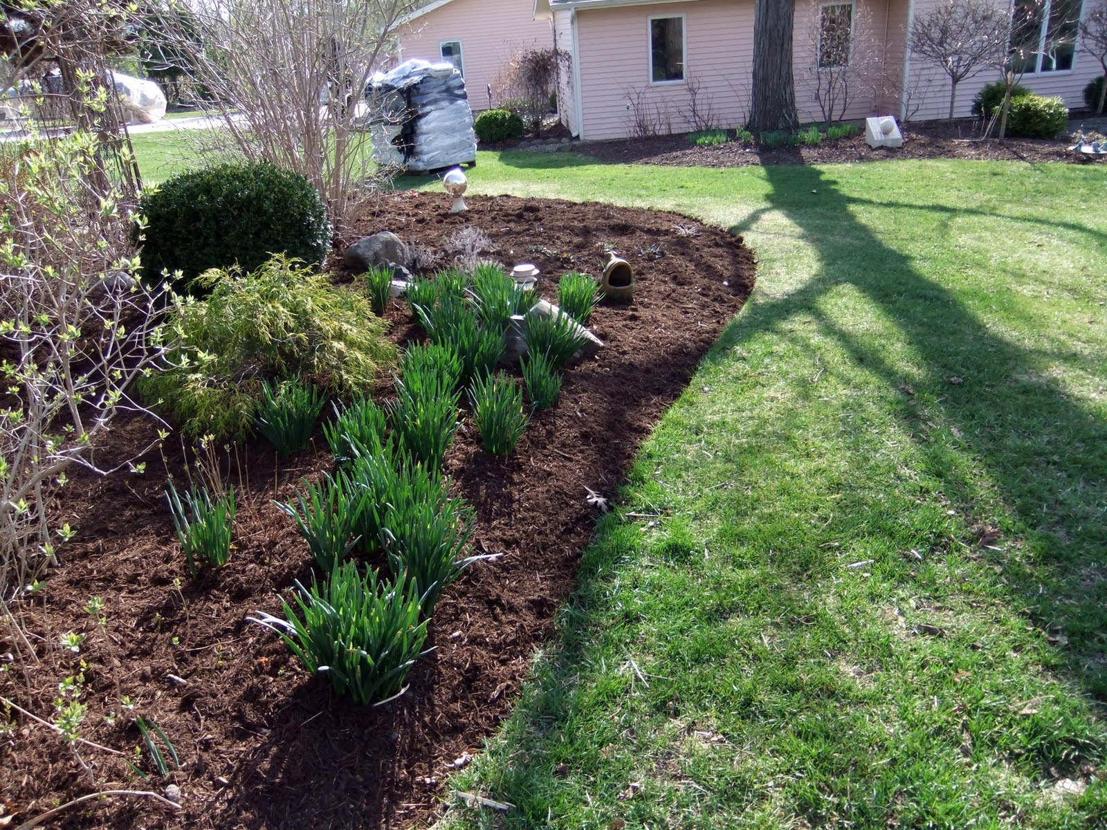 Islandscapes: Shop News, Shovel Cut Edge,Potential Client