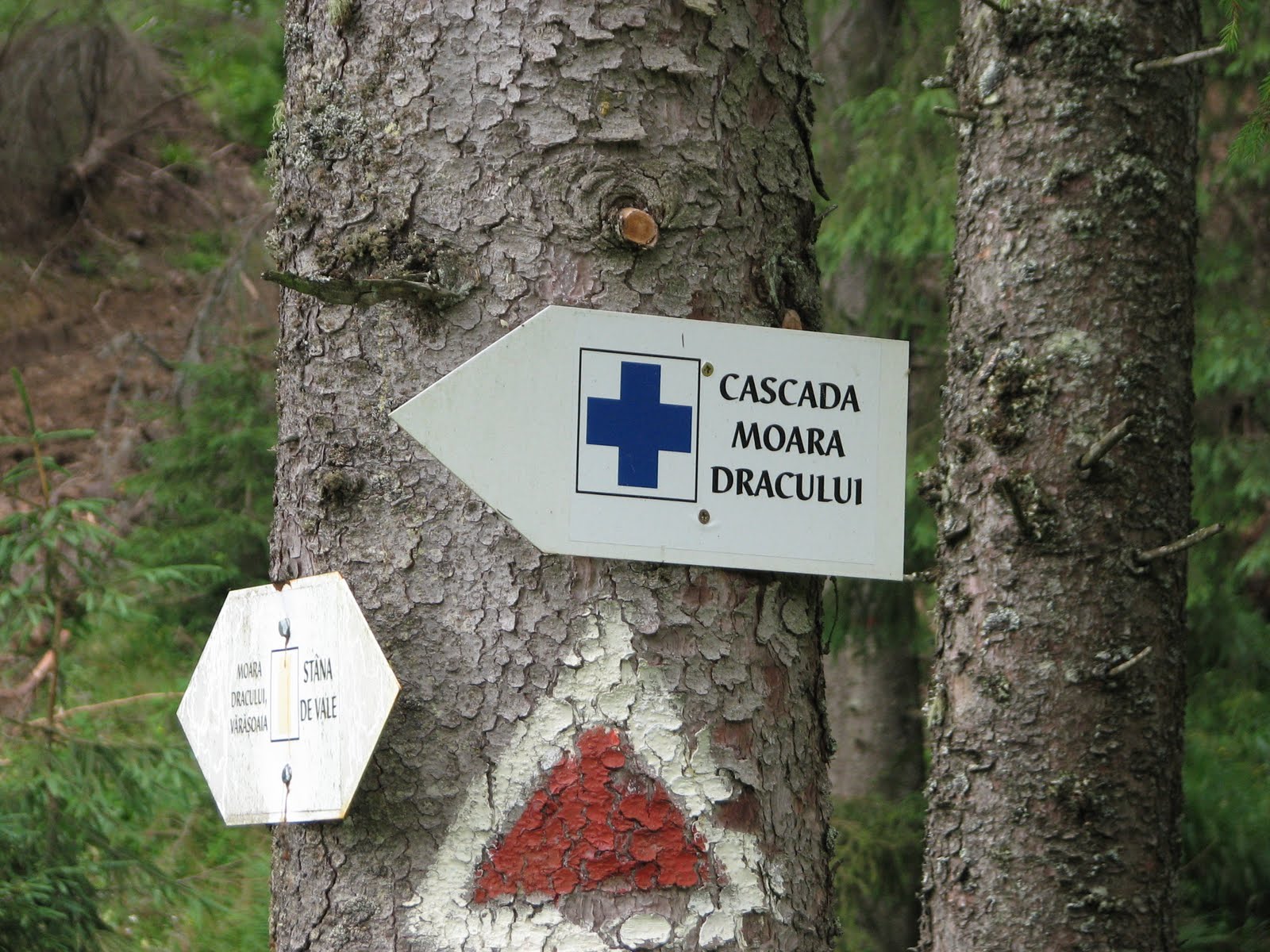 Marius CHIRA: Muntii Vladeasa - Valea Draganului - Cascada Moara Dracului