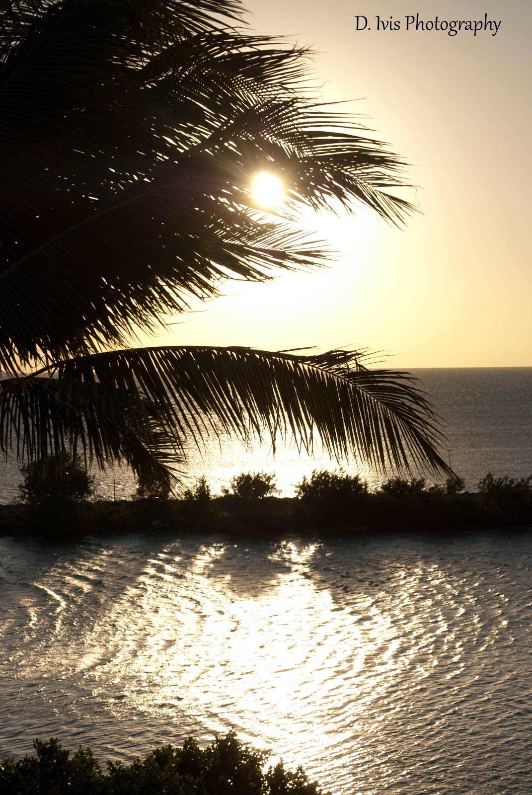 PhotograNerds......The Blog: A BIT OF FLORIDA PARADISE "KEY WEST"