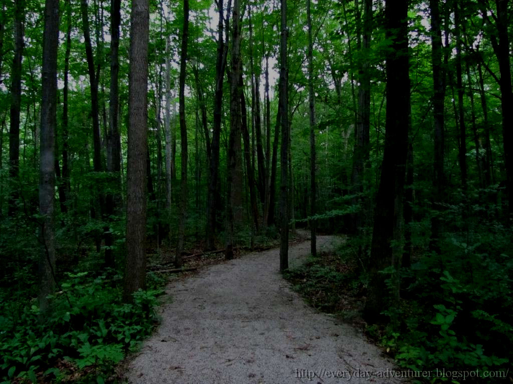 The Everyday Adventurer: 07/01/2010 - 08/01/2010