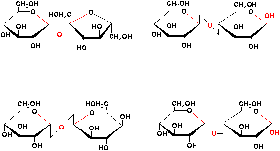 Carbohydrates and their Classification