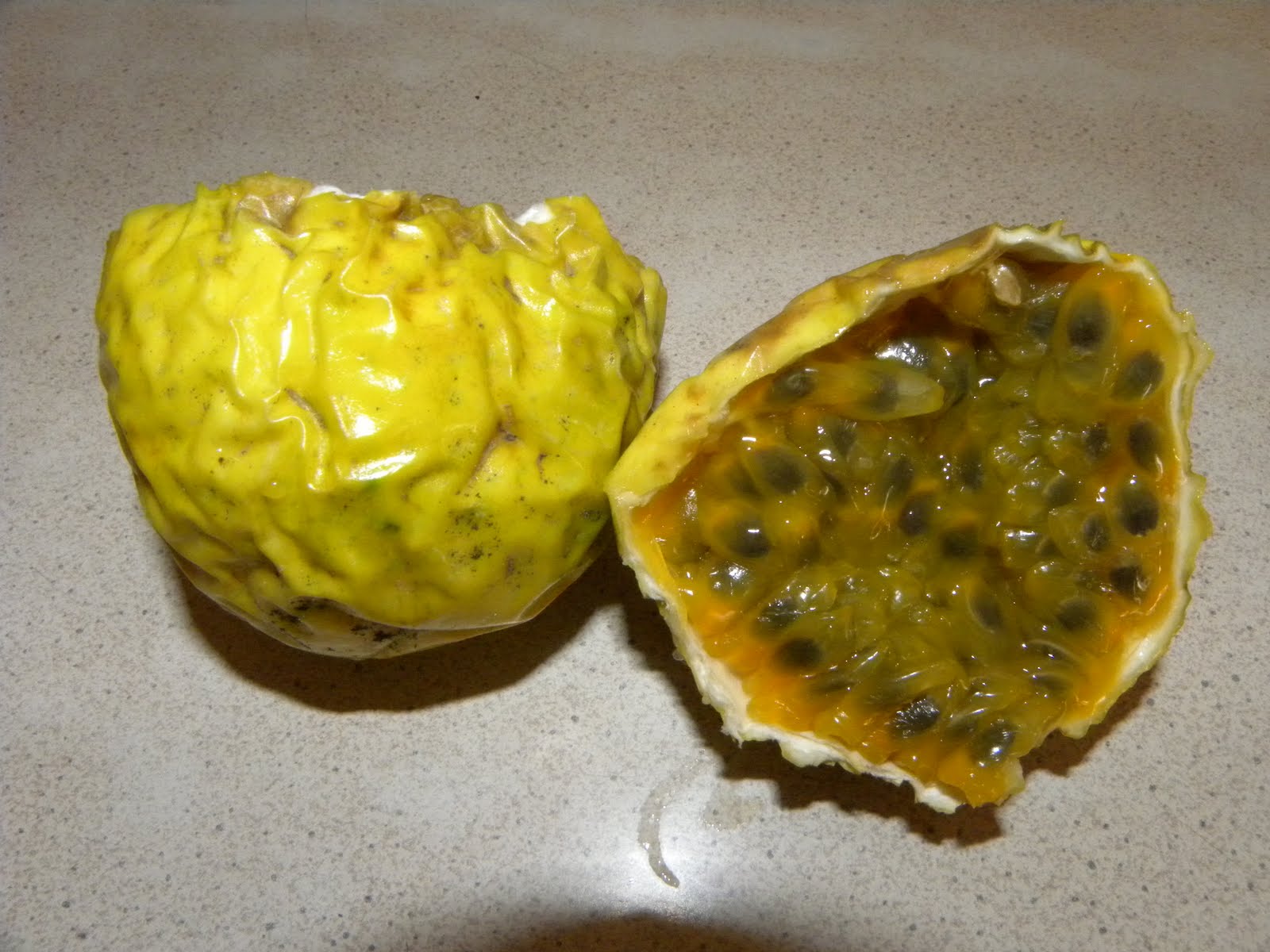 SINTIENDO SUDAMÉRICA: FRUTAS TROPICALES