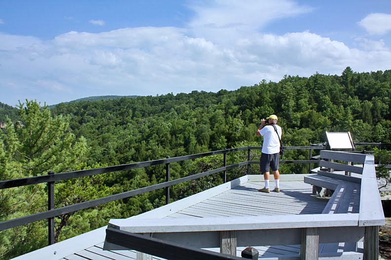 JOYFUL REFLECTIONS: Lilly Bluff Overlook, TN