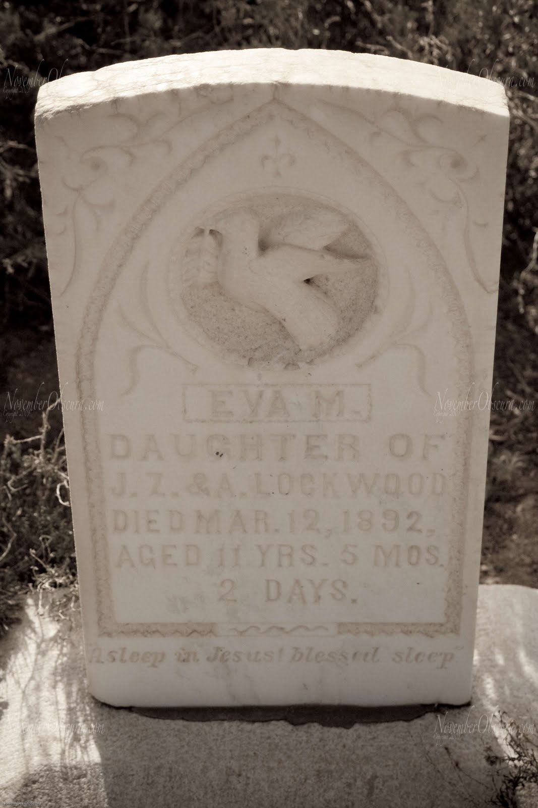 November Obscura: Miners Union Cemetery- Bodie