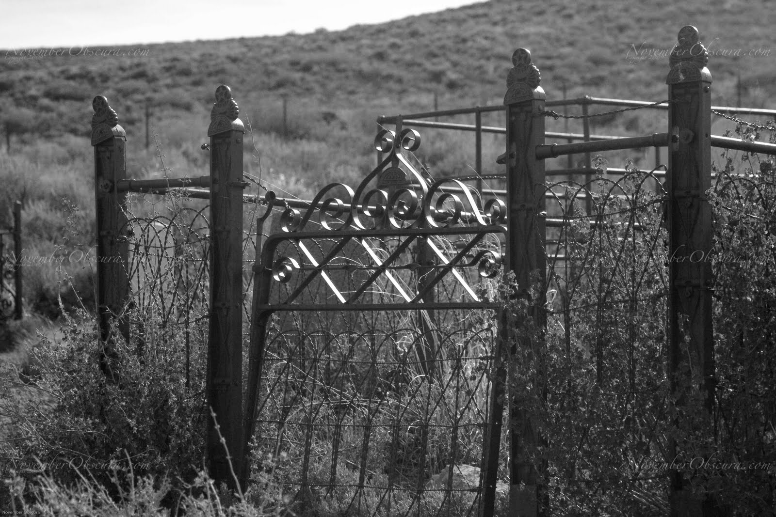 November Obscura: Miners Union Cemetery- Bodie