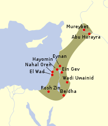 Just Genesis : Natufian Culture