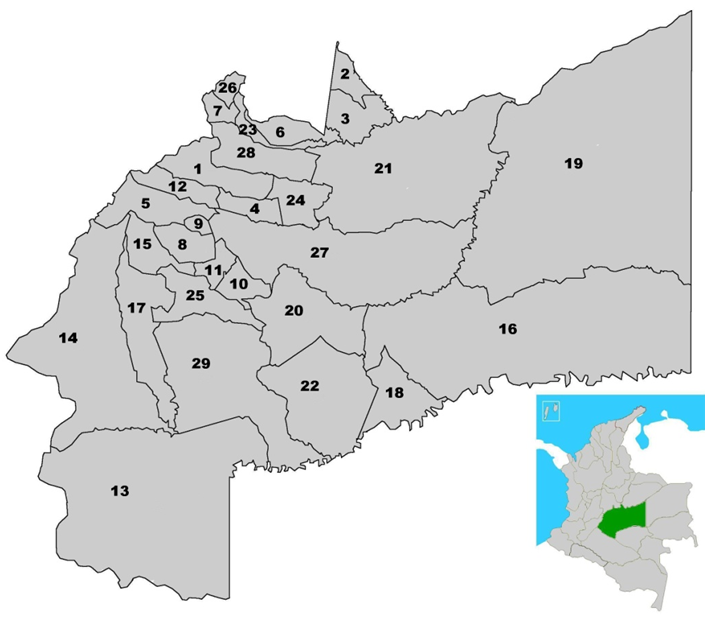 tours infantiles: MAPA DEL DEPARTAMENTO DEL META