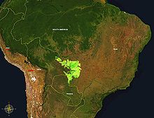 Murderous Musings: Brazil's Wetlands - The Pantanal
