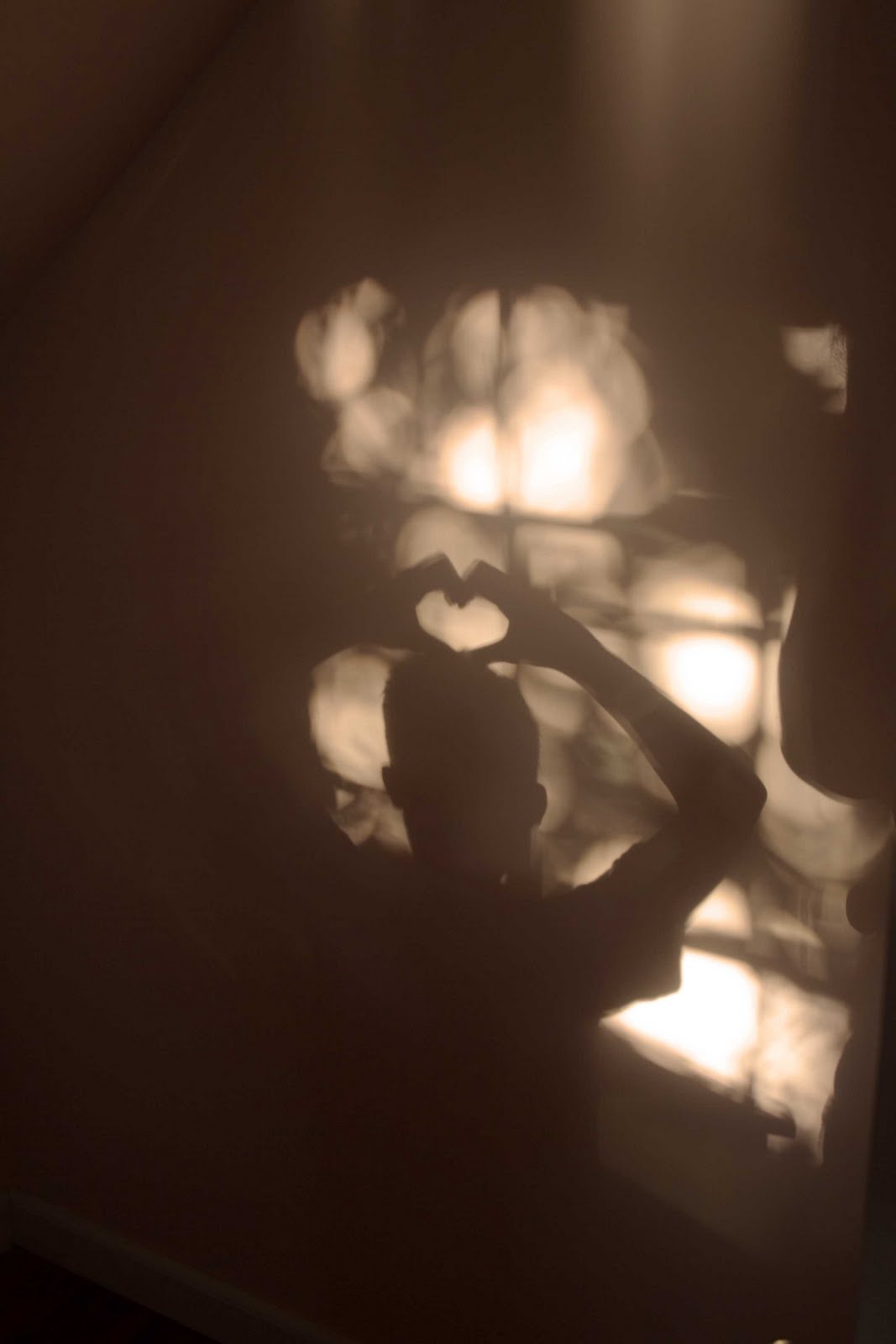 Eye of the Beholder: Shadow Love