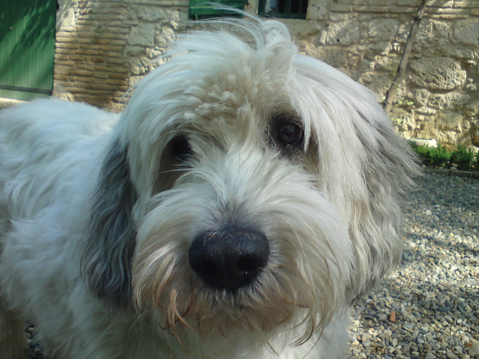 Wilf the PON discovers France.: What to do with Wilf