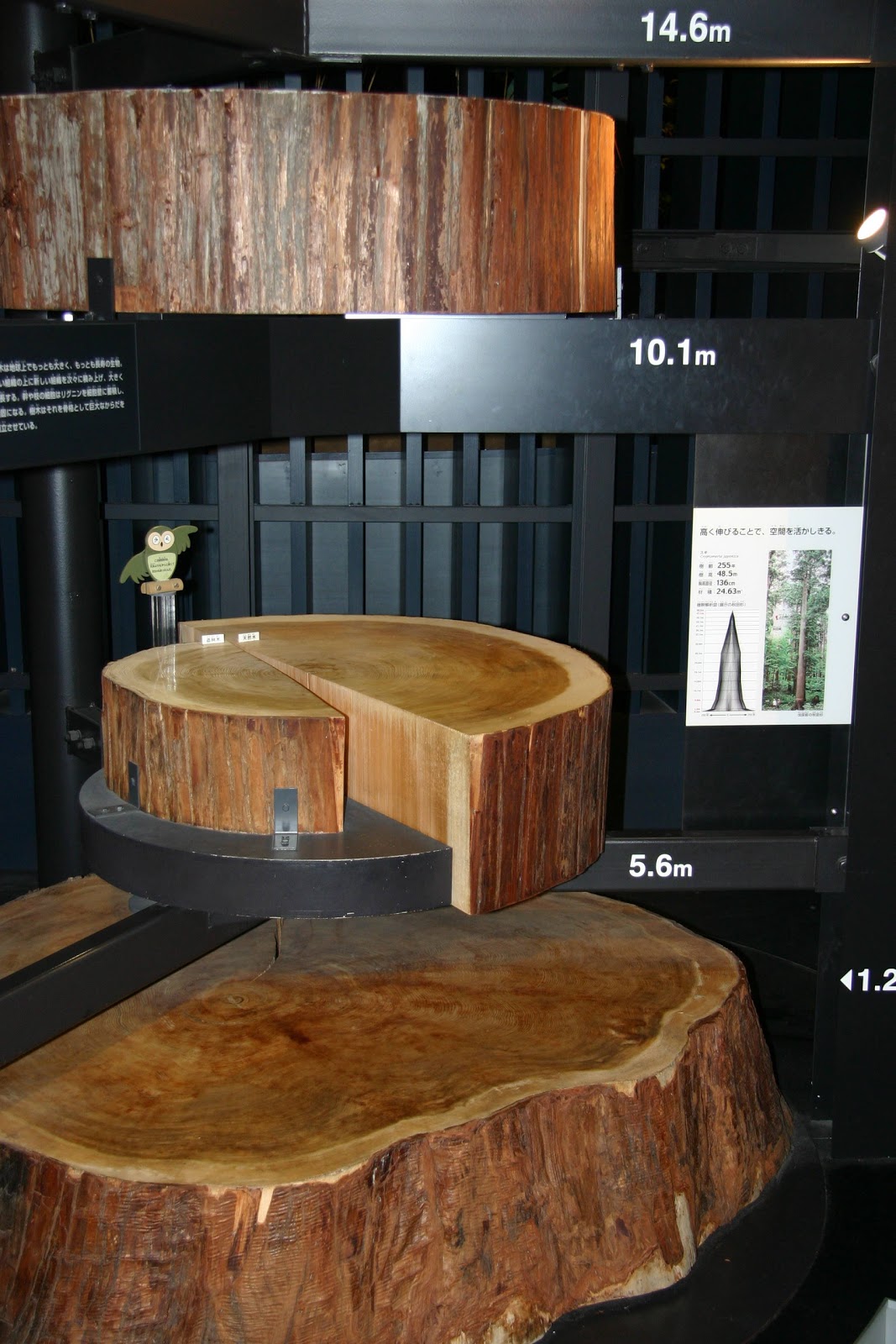 Torwen's Blog: November 2010